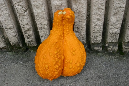 Oddly Shaped Vegetables | Walter Reeves: The Georgia Gardener